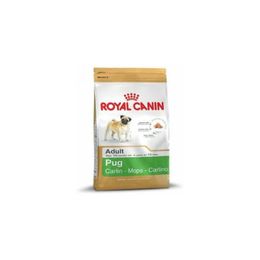 Royal Canin - Essen Pug erwachsene Hunde von Erwachsenen und reifem Carlino -Rennen (ab 10 Monaten) - 1,5 kg