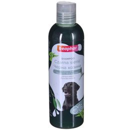 beaphar - Schwarzes Fell – Shampoo für Hunde – 250 ml