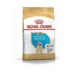 Bhn Labrador Retriever Puppy – Trockenfutter für Welpen – 3 kg - Royal Canin
