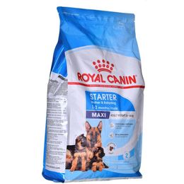 Royal Canin SHN Maxi Starter Mutter & Babydog - Trockenfutter für Hunde - 4 kg