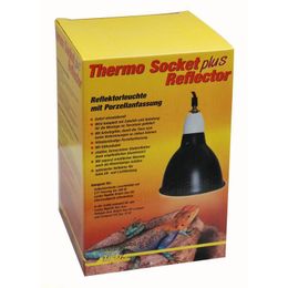 Thermo Socket plus Reflector - klein - LUCKY REPTILE