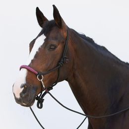Kieffer - Knotenhalfter Ruby - schwarz/burgund - Pony