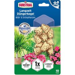 SUBSTRAL - Langzeit Düngerkegel Blüh- & Grünpflanzen - 10 Stück