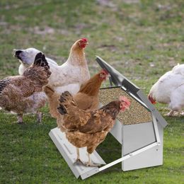 Futterautomat Hühner 5kg - Hühner Futterspender aus Verzinkter Stahl für Geflügel. wasserdicht und rattensicher - Silber - HENGDA