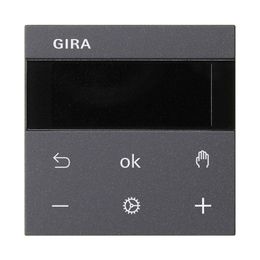 GIRA - rtr Display 539328