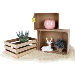 BURI Dekokisten-Set 3-teilig Holzkisten Holzbox Obstkisten Beistelltisch Aufbewahrung