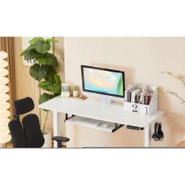 WOLTU Schreibtisch 140x60cm Höhenverstellbarer Elektrisch Stehschreibtisch Ergonomischer Computertisch Schreibtisch mit Tastaturauszug und