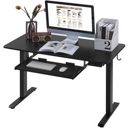 WOLTU Schreibtisch 120x60cm Höhenverstellbarer Elektrisch Stehschreibtisch Ergonomischer Computertisch Schreibtisch mit Tastaturauszug und