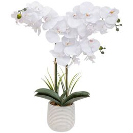 Atmosphera - Künstliche Orchidee im Blumentopf riva, 60 cm