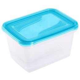 keeeper 2er Set Lunchboxen, 2 x 2 l, 20,5 x 15,5 x 10,5 cm, Fredo Fresh, Blau transparent