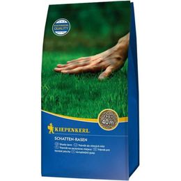 Kiepenkerl - Schatten-Rasen 1 kg