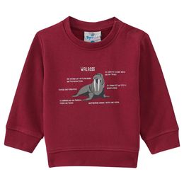 Topomini Baby Sweatshirt mit Walross-Motiv