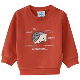 Topomini Baby Sweatshirt mit Igel-Motiv