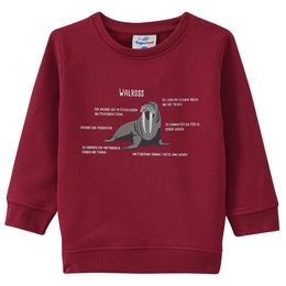 Topolino Kinder Sweatshirt mit Walross-Motiv