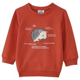 Topolino Kinder Sweatshirt mit Igel-Motiv