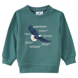 Topomini Baby Sweatshirt mit Weißkopfseeadler-Motiv