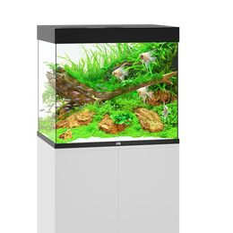 JUWEL Lido 200 LED Komplett Aquarium ohne Schrank schwarz