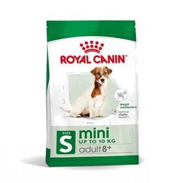 Royal Canin SHN Mini Adult 8+ 4 kg