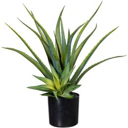 Künstliche Zimmerpflanze Deko-Sukkulente Aloe Aloe, Creativ green, Höhe 48 cm, grün