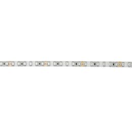 Artecta Havana Dropper Red 120-24V - 5 m 3528 LED, einfarbig