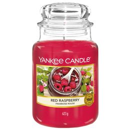 yankee candle Red Raspberry Duftkerze 411 GR 5038580061925
