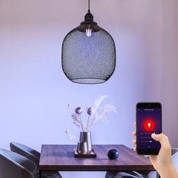 etc-shop Hänge Pendel Lampe Käfig Decken Leuchte steuerbar per App Google im Set inkl. RGB LED Leuchtmittel