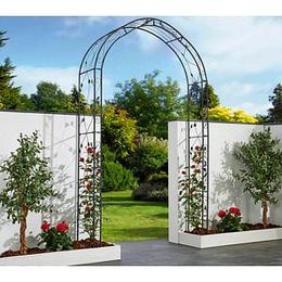 Garden Pleasure Rankgitter MIRA Metall anthrazit Bogen 145,0 x 260,0 cm