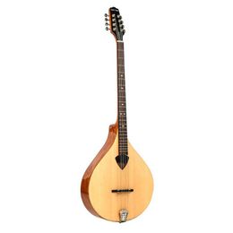 Gold Tone Banjo Gold Tone BZ-500 Irische Bouzouki Mandoline mit Hartschalenkoffer