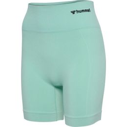 Hummel Leggings Hmltif Seamless Shorts