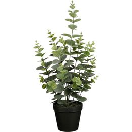 Mica Decorations - Mica Kunstpflanze Eukalyptus grün im Topf ø 23 x 53 cm Eingetopft