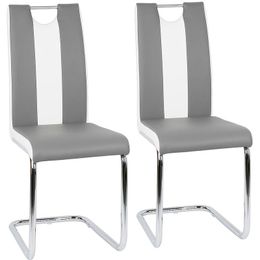 Skecten - 2er set Esszimmerstühle Set Freischwinger Stühle Schwingstuhl Hochlehner Esszimmer[Grau und Weiß]