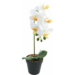 Künstliche Orchidee Weiss im Topf Höhe 40 cm Kunstblume Pflanze - Weiss