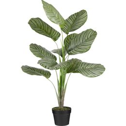 Mica Decorations - Mica Kunstpflanze Calathea orbifolia im Topf grün 90 x 60 cm Kunstpflanzen