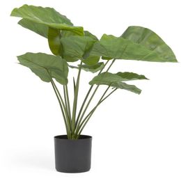 Kave Home - Alocasia Odora Kunstpflanze mit Topf schwarz 57 cm