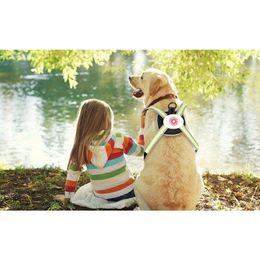 TolleTour LED Hundegeschirr Dog Brustgeschirr No-Pull Einstellbar Gepolstert Powergeschirr für Hunde kleine / mittlere / große / Hunde S - Schwarz