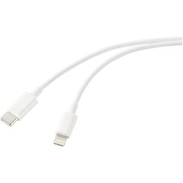 USB-Kabel usb 2.0 usb-c® Stecker, Apple Lightning Stecker 3.00 m Weiß (frosted) RF-572408 - Renkforce
