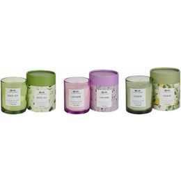 Beliani Duftkerze 3er Set Mehrfarbig Sojawachs mit Baumwolldocht im Glas in der Dose Duftnoten: Weißer Tee Lavendel Jasmin Geschenkset - Grün