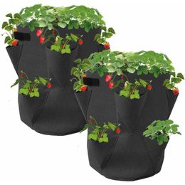 Spetebo - Erdbeer Pflanzsack 2er Set aus Filz - 45 x 35 cm - Pflanzbeutel für Erdbeeren und Klein-Gemüse - Garten Balkon Pflanzen Tasche