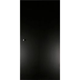 Türfront HAMMEL FURNITURE "Mistral Kubus 062, Tür passend zur Sideboard & Bücherregal" Schranktüren Gr. B/H/T: 32 cm x 66 cm x 1,7 cm, schwarz Hammel Furniture