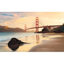 Komar Vliestapete "Golden Gate" Tapeten Gr. B/L: 400 m x 250 m, Rollen: 1 St., grau Vliestapeten