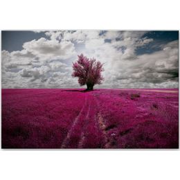 Metallbild Wall-Art "The Lonely Tree Blühender Baum" Bilder Gr. B/H: 60 cm x 40 cm, -, pink (pink weiß) Metallbilder
