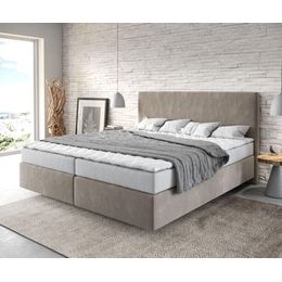 DeLife Boxspringbett Dream-Well