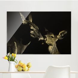 Bilderwelten Glasbild Tiere modern schwarz Glas Wandbild - Rehe vor Schwarz - Deko Wohnzimmer Schlafzimmer