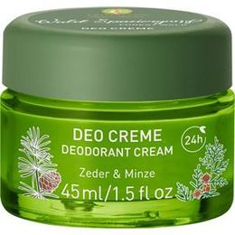 Primavera Pflege Körperpflege Waldspaziergang Deo Creme