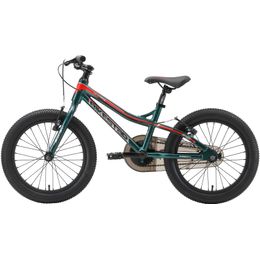 Kinderfahrrad LÖWENRAD Fahrräder Gr. 27 cm, 18 Zoll (45,72 cm), grün Kinder Kinderfahrräder