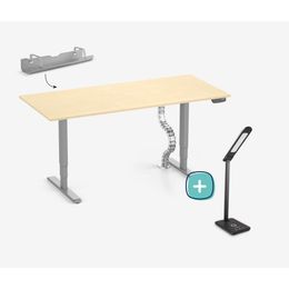 Höhenverstellbarer Schreibtisch PRIMUS + Kabelwanne, Kabelschlange & Schreibtischleuchte - 160x80 - Grau / Birke - 7 Jahre Garantie