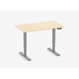 Höhenverstellbarer PRIMUS Schreibtisch - 120x70 - Grau / Birke - 7 Jahre Garantie - 125 kg Traglast