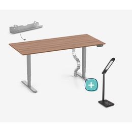 Höhenverstellbarer Schreibtisch PRIMUS + Kabelwanne, Kabelschlange & Schreibtischleuchte - 180x80 - Grau / Nussbaum - 7 Jahre Garantie
