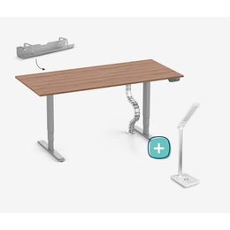 Höhenverstellbarer Schreibtisch PRIMUS + Kabelwanne, Kabelschlange & Schreibtischleuchte - 160x80 - Grau / Nussbaum - 7 Jahre Garantie
