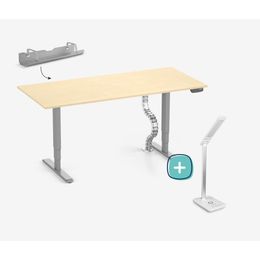 Höhenverstellbarer Schreibtisch PRIMUS + Kabelwanne, Kabelschlange & Schreibtischleuchte - 180x80 - Grau / Birke - 7 Jahre Garantie